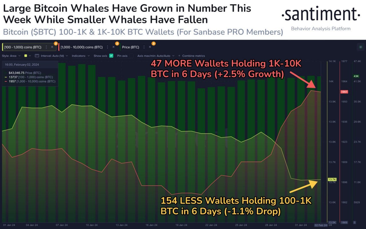 Telegram channel "NN invest NEWS" — @nn_inews — TGStat